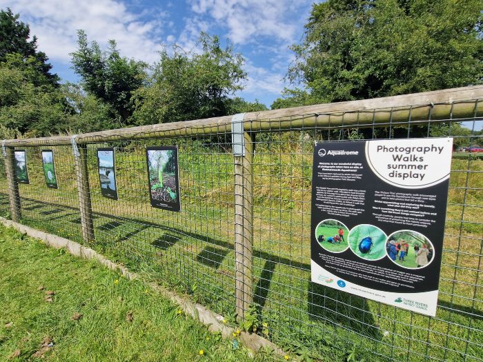 Photos that capture the beauty of the Aquadrome on display | Leisure ...